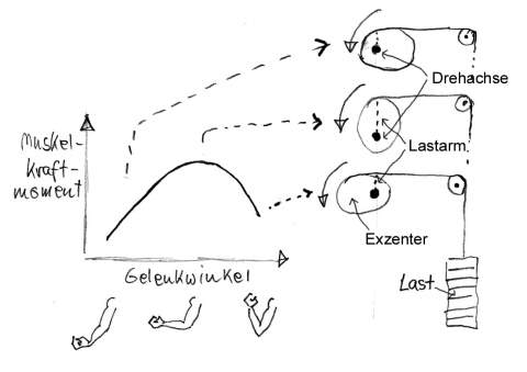 Wer kann mir das Excenter-Prinzip bei Kraftgeräten erklären? (Fitness)